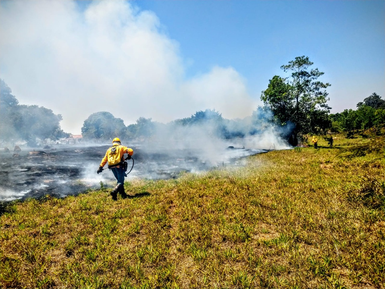 Queimadas controladas ajudam a prevenir incêndios no cerrado - Portal ...